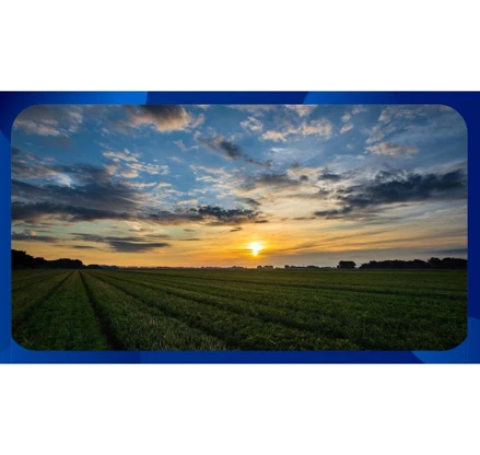 Gleba De Terras em Leilão em Ipatinga / MG - Imóvel 2599882 - Leilão de ...